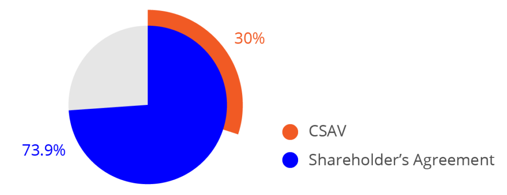 Our Business – CSAV