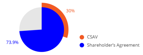 Our Business – CSAV